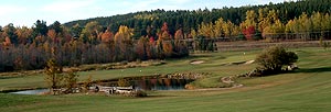 Homestead at Wolf Ridge - Tigger's Home Course