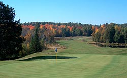Homestead at Wolf Ridge - Tigger's Home Course